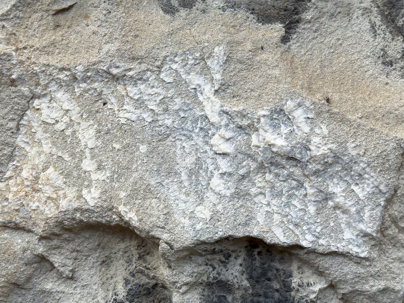 Textured Limestone Surface with Natural Weathering Patterns Stock Image ...