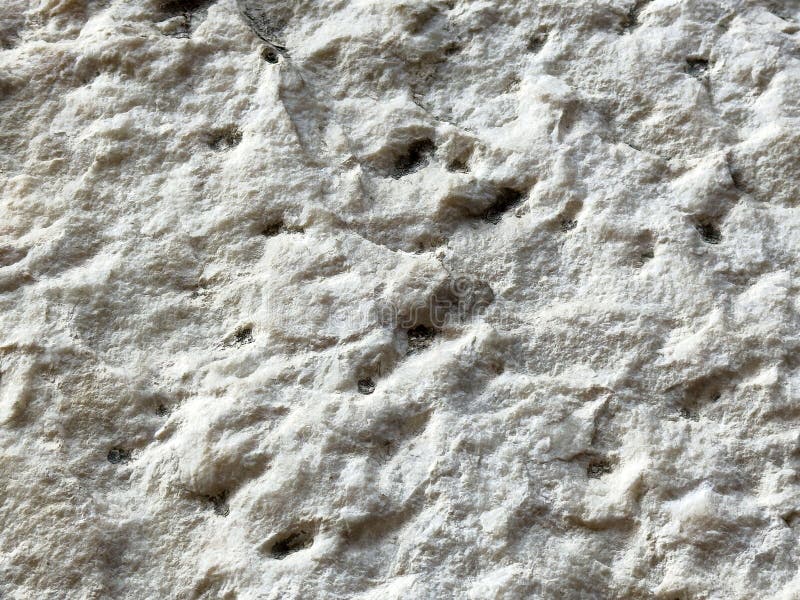 Textured Limestone Surface with Weathered Patterns Stock Illustration ...