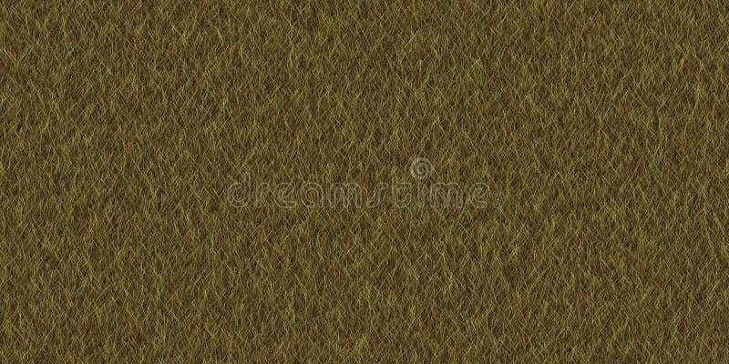 Textured Meadow Backdrop. Dry Grass Texture. Field Background Stock ...
