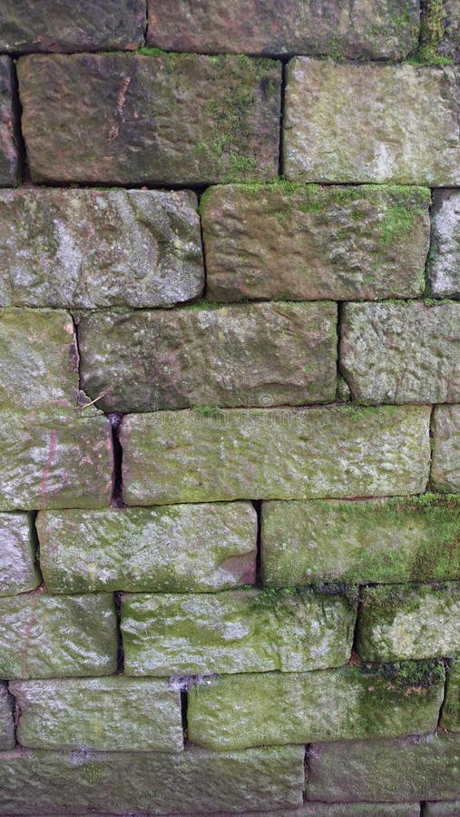 Textured Moss-Covered Stone Wall Located Outdoors in a Shaded ...