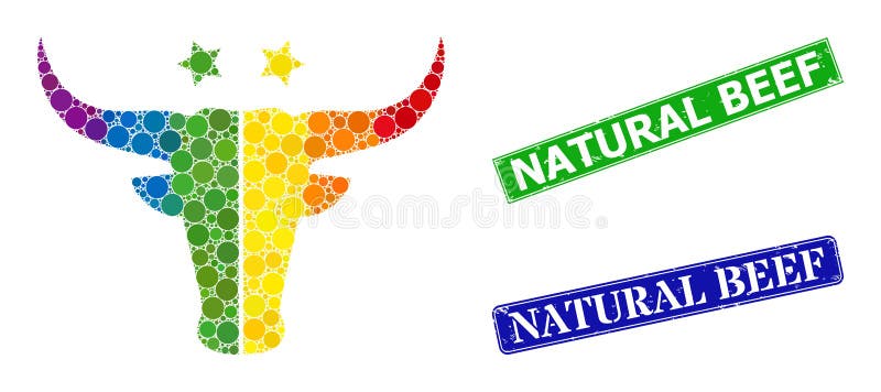 Textured Natural Beef Seals and Rainbow Gradient Dotted American Beef ...