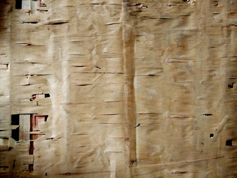 Surface Old Decayed Plywood Stock Image - Image of vintage, aged: 107212107