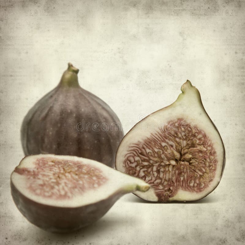 Bursa Figs Stock Photos - Free & Royalty-Free Stock Photos from Dreamstime