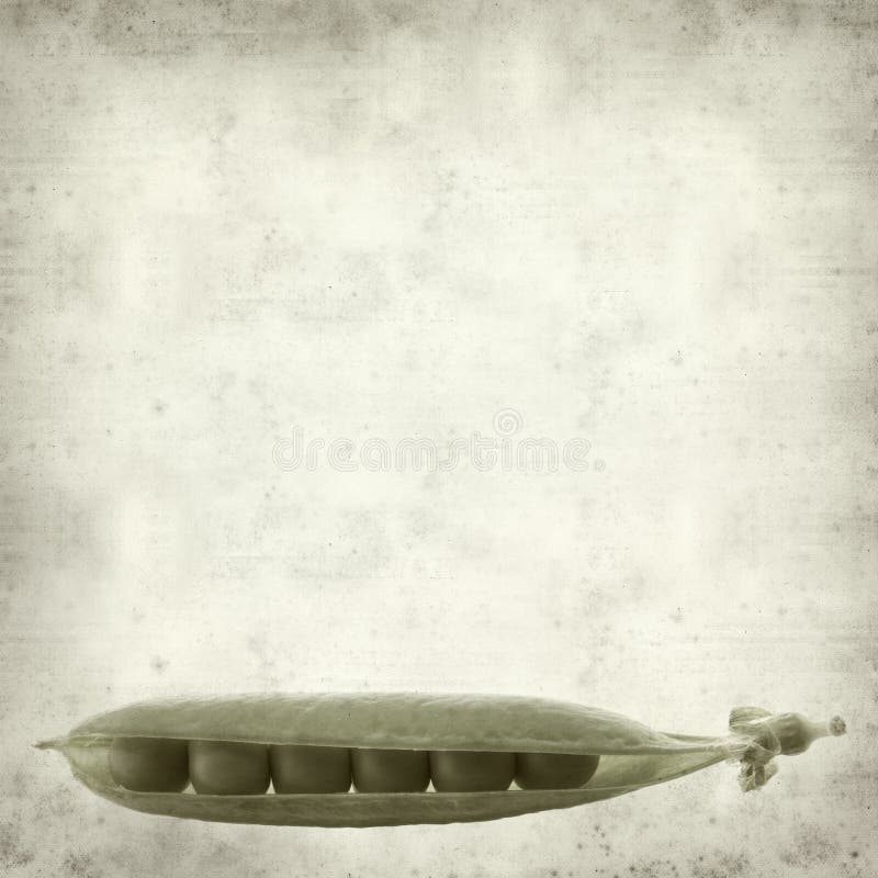Textured Old Paper Background with Pea Pod Stock Image - Image of sepia ...