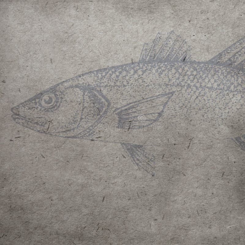 The Textured Old Paper Background with Watercolor Fish Outlines Stock ...