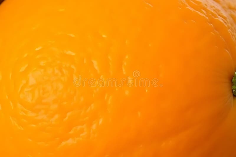 A Textured Orange Peel Dominates the Frame with Vibrant Color and ...