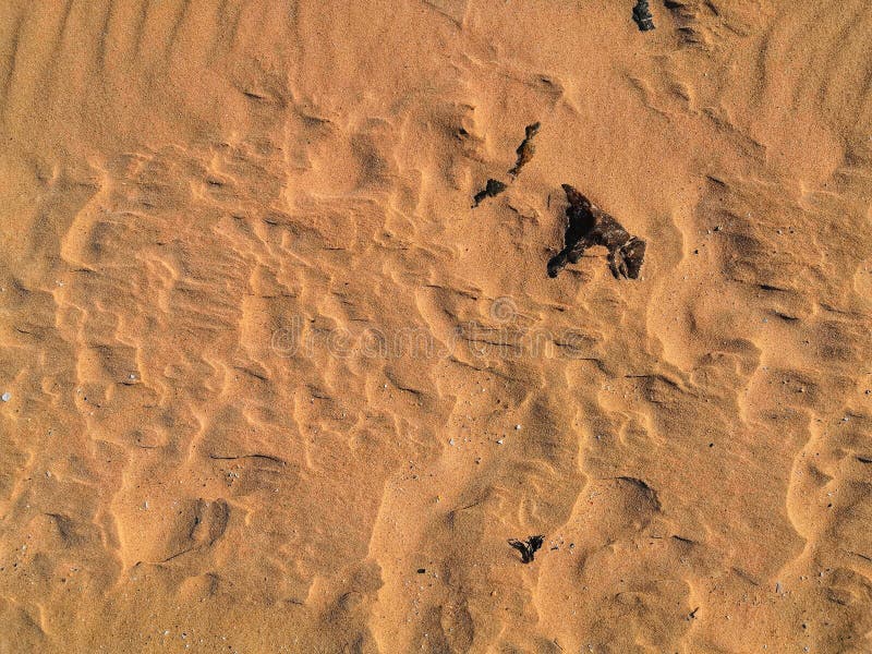 Textured Orange Sand with Rock Stock Photo - Image of sand, rock: 146499006