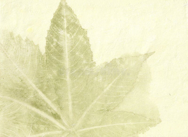 Textured Organic Fiber Paper Stock Photo - Image of textural ...