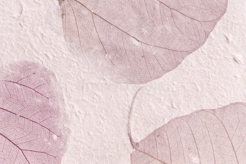 Textured paper purple leaf stock photo. Image of cardmaking - 25411466