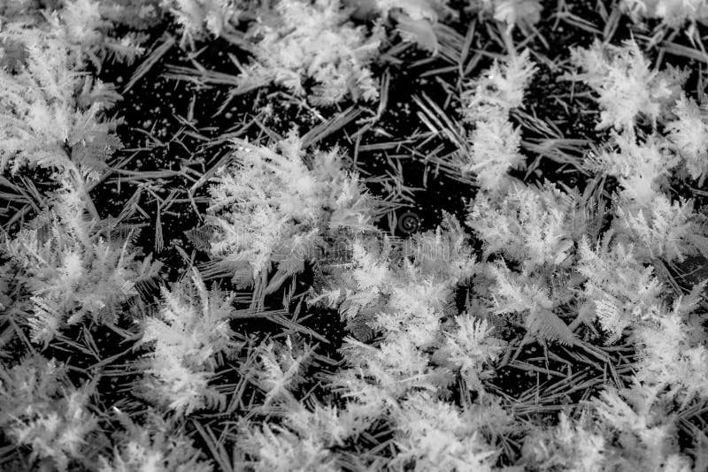 Textured Patterns on Melted Ice Stock Photo - Image of backpacker ...