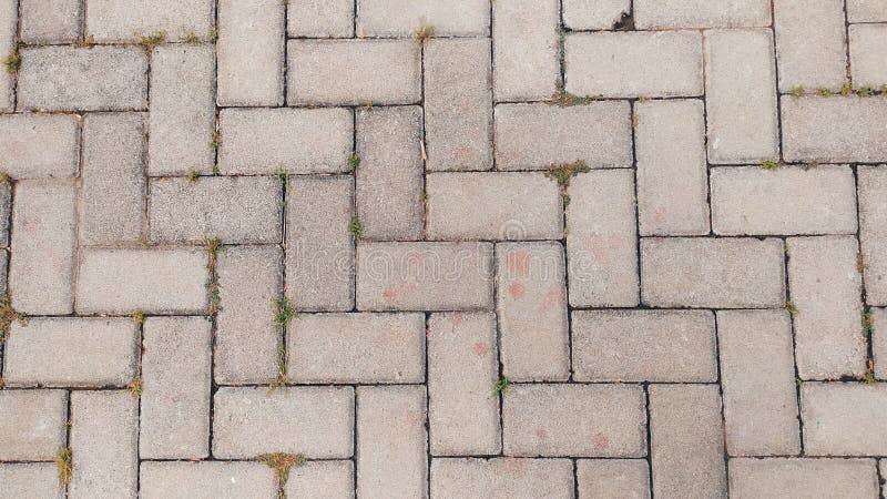 A Textured Pavement Made Up of Interlocking Rectangular Bricks Laid in ...