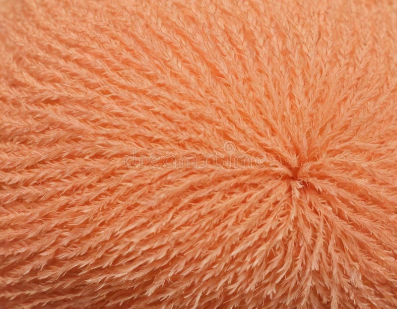 Peach fuzz texture design stock illustration. Illustration of year ...