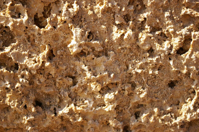 Textured of a porous stone stock photo. Image of porous - 4741202