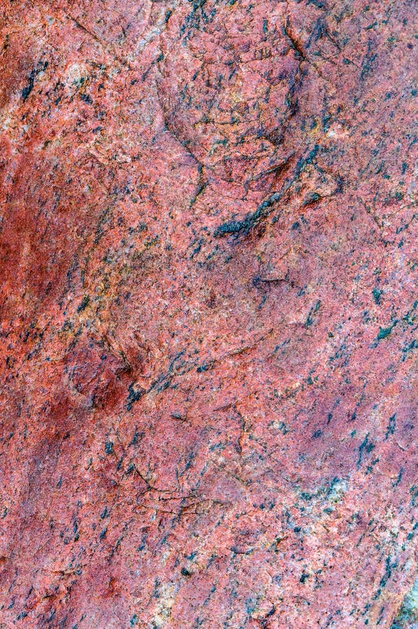 Textured Red Background. the Texture of the Sea Stone is Red-brown ...