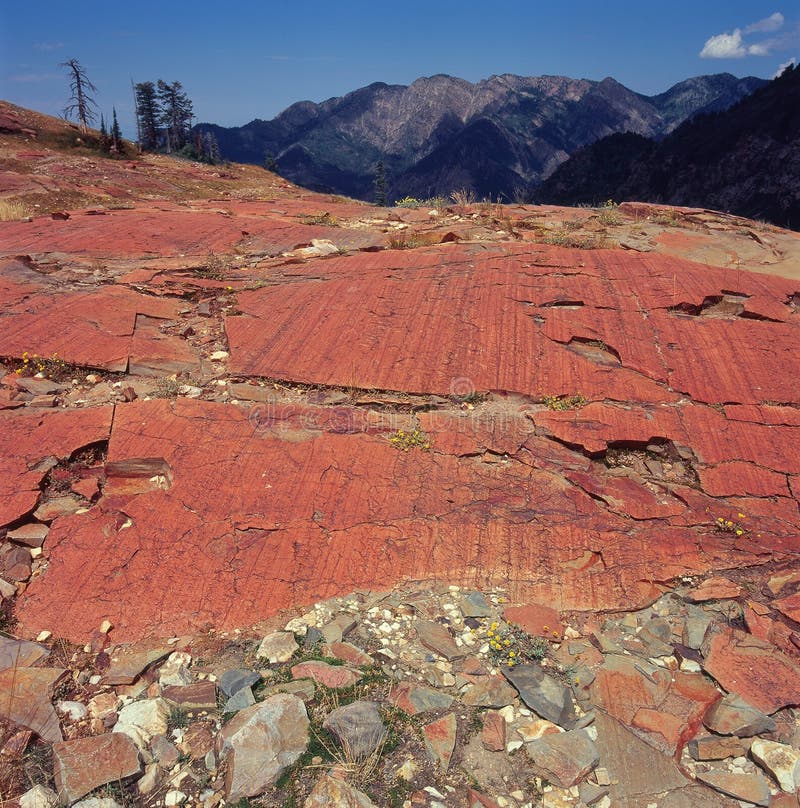 Textured Redrock in the Uinta-Wasatch-Cache National Forest, Wasatch ...