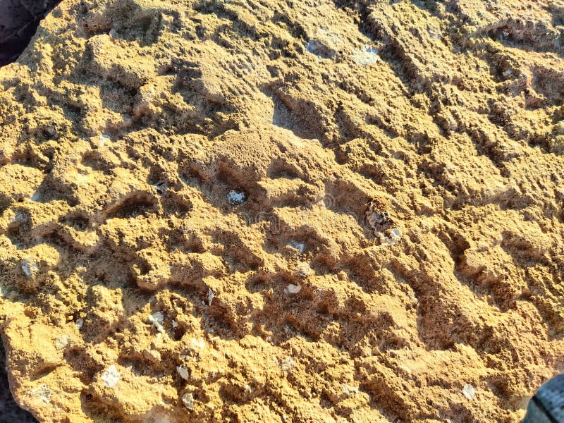 Textured Rock Surface Displaying Intricate Patterns and Warm Earth ...