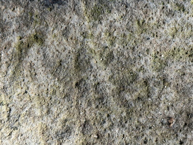 Textured Rock Surface Featuring Moss and Natural Gray Patterns and ...