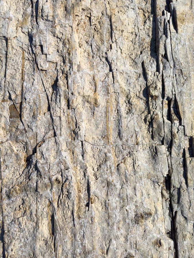 Textured Rock Surface Showcasing Natural Weathering Patterns in Bright ...