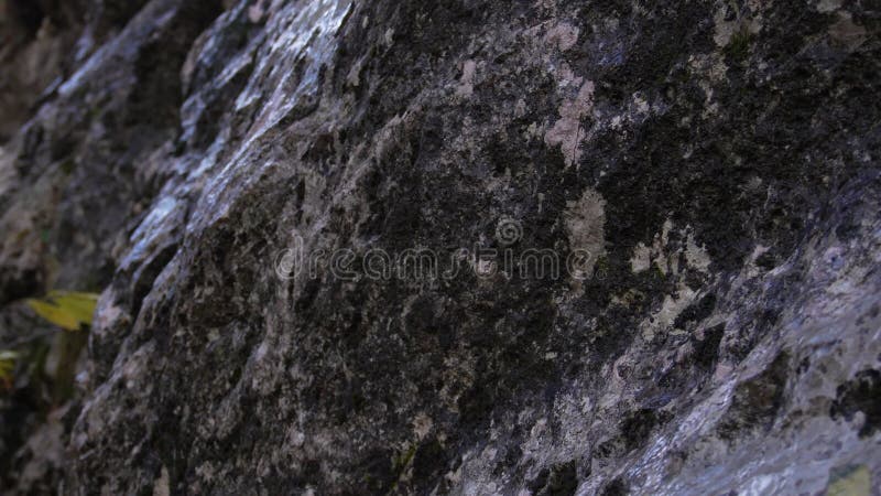 Close-Up of a Rough Green Rock Surface with Mineral Deposits Stock ...