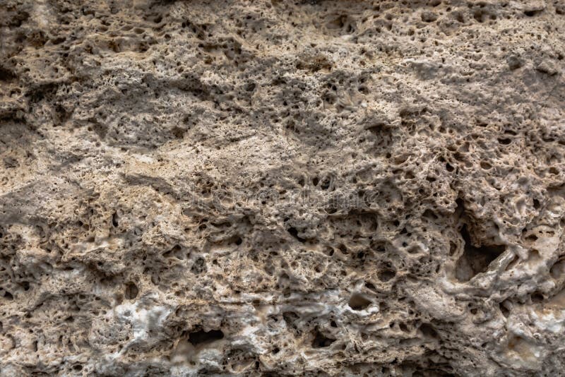 Textured Rough Surface of Yellow Limestone. Stock Photo - Image of ...