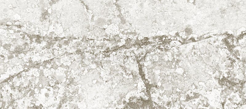 Textured Rough White Stone Sandstone Surface. Close Up Natural Rock ...
