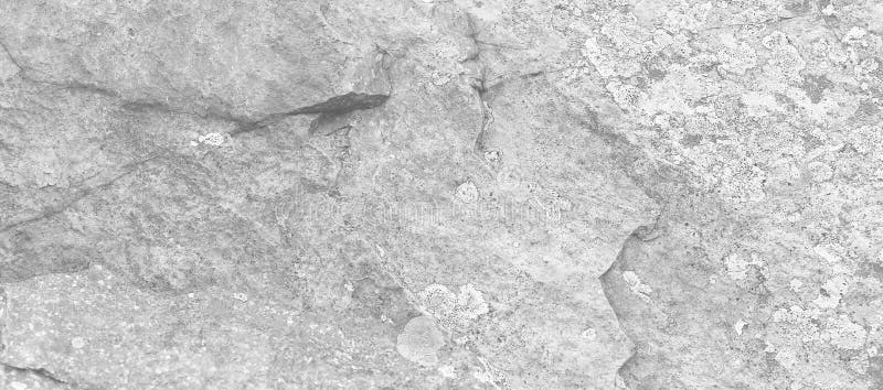 Textured Rough White Stone Sandstone Surface. Close Up Natural Rock ...