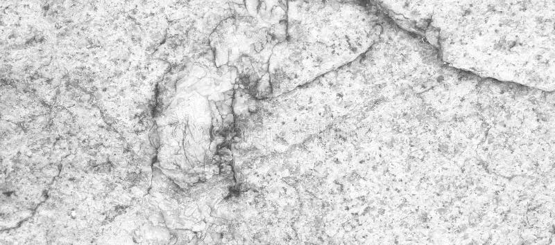 Textured Rough White Stone Sandstone Surface. Close Up Natural Rock ...