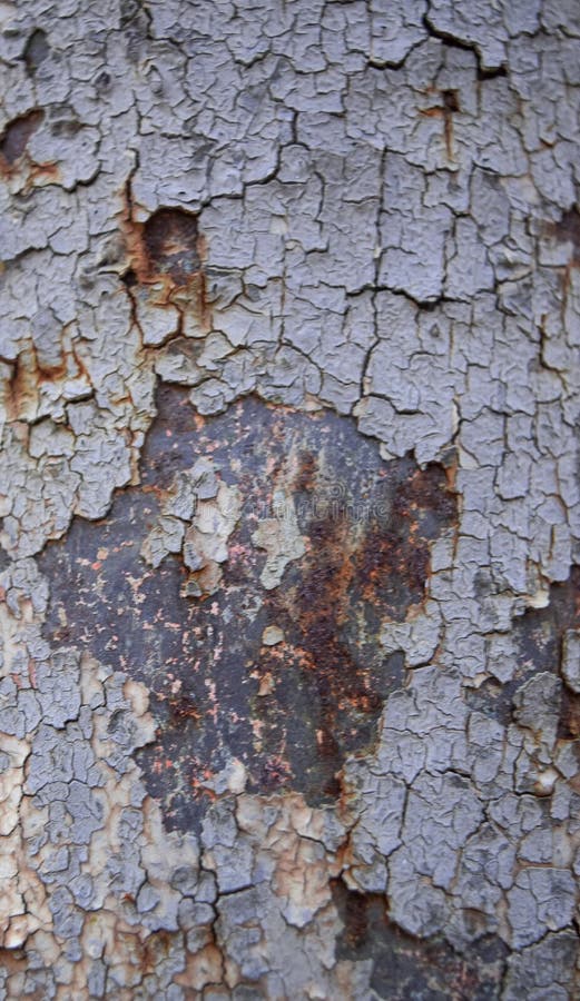 Textured Rusty Iron Sheet Background Stock Image - Image of sheet ...