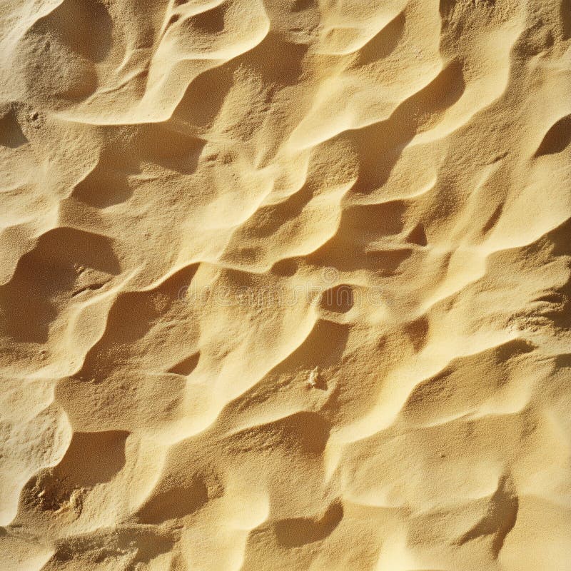 Textured Sand Dunes Under Bright Sunlight Creating Intricate Shadow ...
