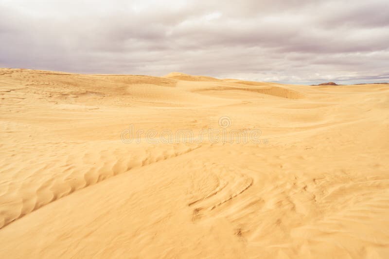 Textured Sand of Sandhills Ecological Reserve Stock Photo - Image of ...