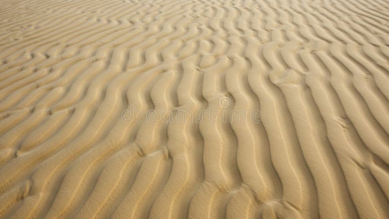 Textured Sand Waves on a Beach Stock Illustration - Illustration of ...
