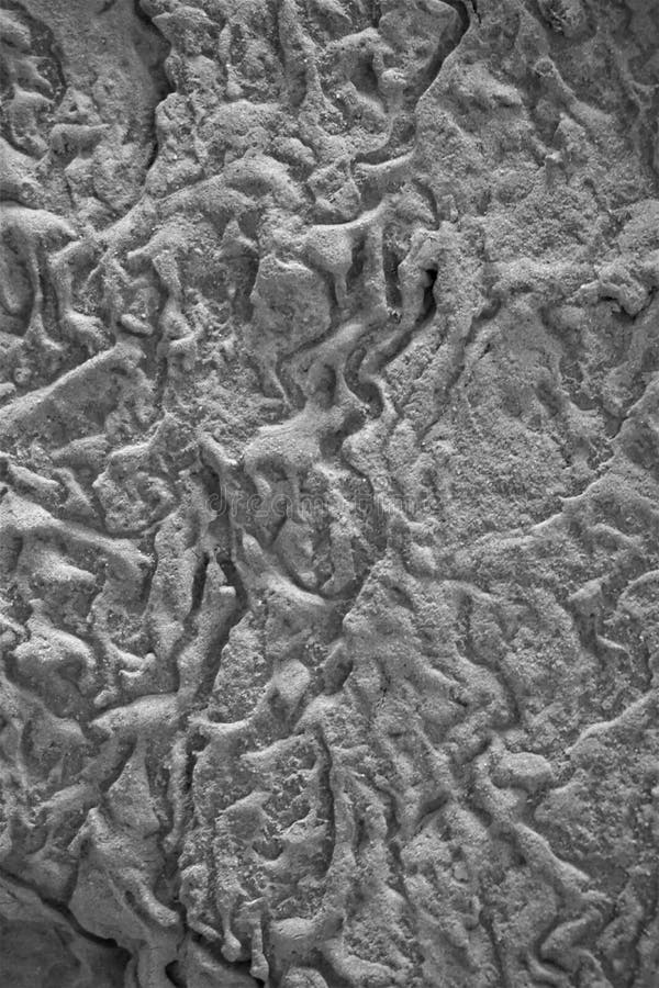 133 Crenulated Stock Photos - Free & Royalty-Free Stock Photos from ...