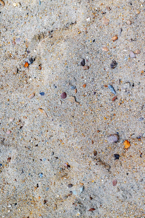 Textured Sandy Beach Surface with Mixed Pebbles and Grains Stock Image ...