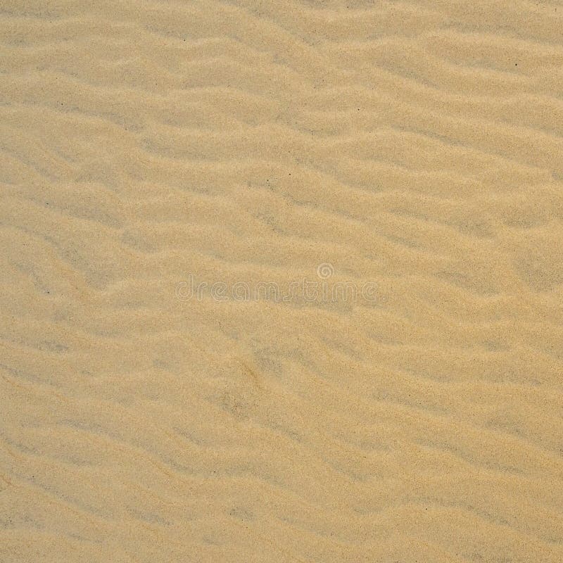 Textured Sandy Soil Surface As Background Stock Photo - Image of dirt ...