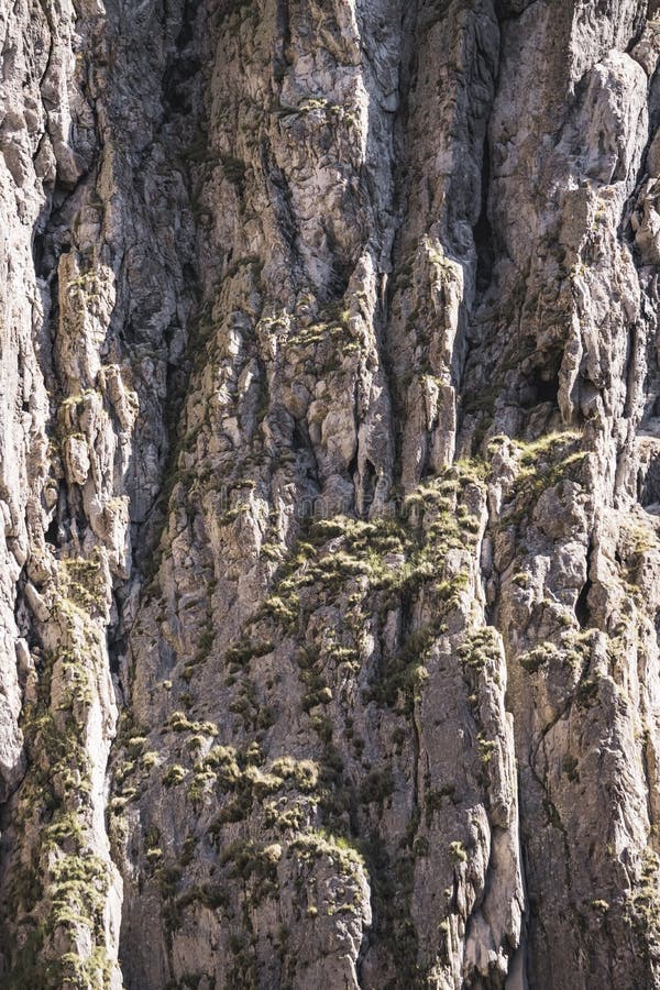 Textured Sheer Cliff with Stone Texture and Grass in the Mountains ...