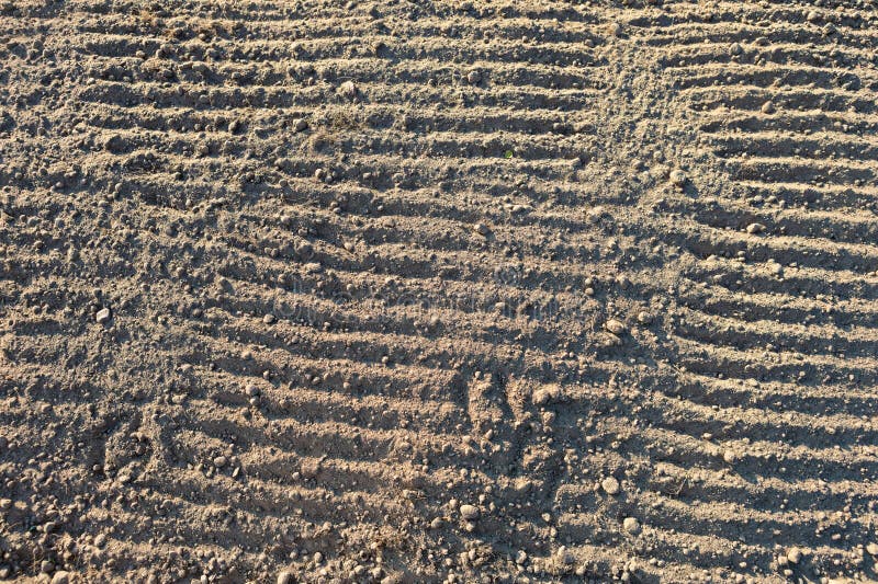 Textured Soil Showing Distinct Patterns from Recent Cultivation on a ...