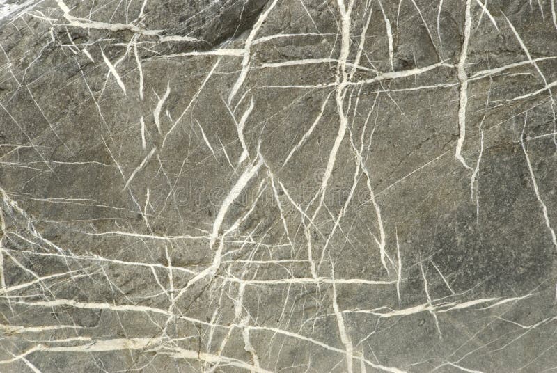 Fish Fossil stock image. Image of stone, jurassic, creature - 4531815