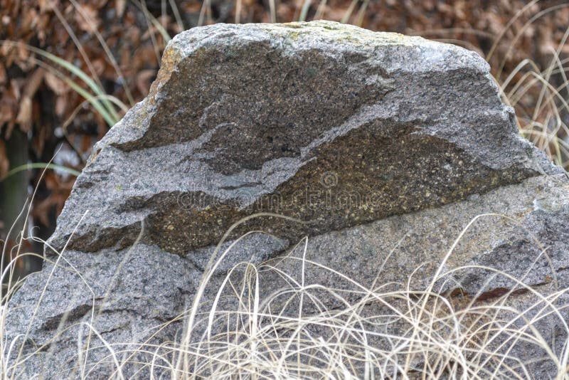Stone Boulder on a Grass stock photo. Image of palm - 136397122