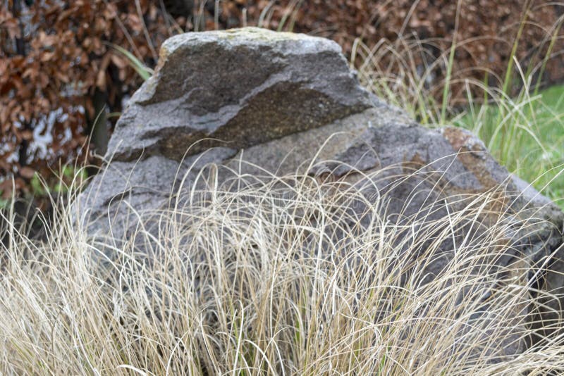 Stone Boulder on a Grass stock photo. Image of trace - 136397144