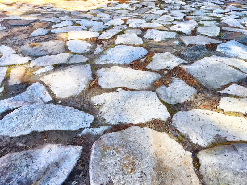 Textured Stone Pathway in a Natural Setting Under Soft Sunlight Stock ...