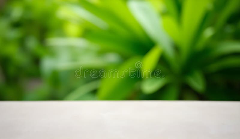 Textured Stone Tabletop in Front of a Softly Blurred Tropical Garden ...
