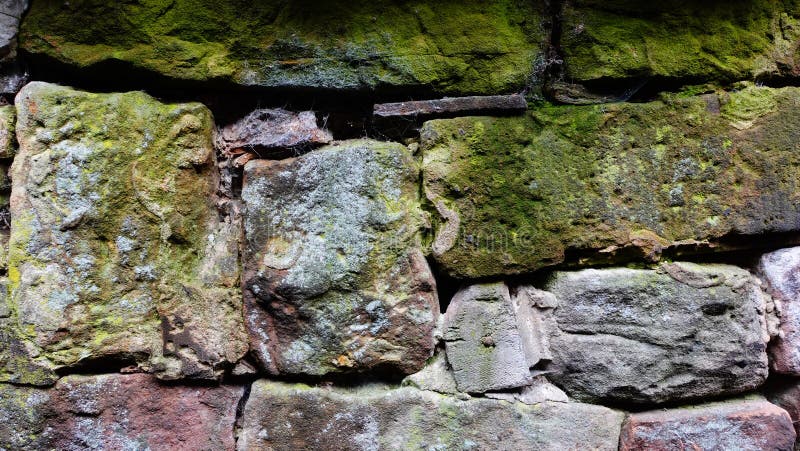 Textured Stone Wall Covered with Moss in a Natural Outdoor Setting ...