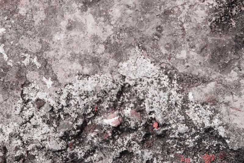 Textured Surface of Chipped Concrete Stock Image - Image of material ...