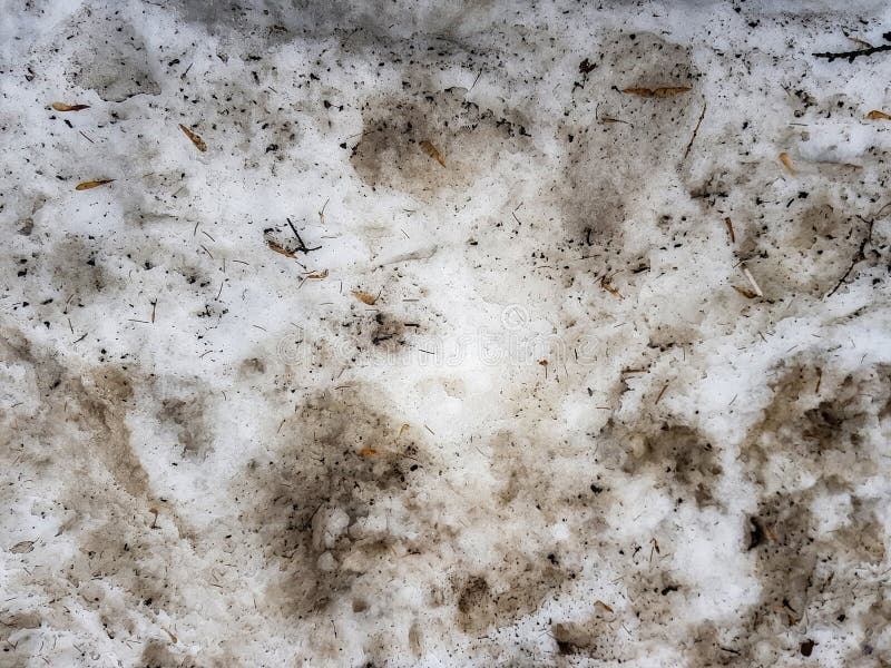 Texture of dirty snow stock image. Image of coarse, background - 113556069