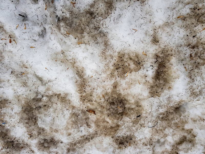 Texture of dirty snow stock image. Image of nature, rough - 113556135