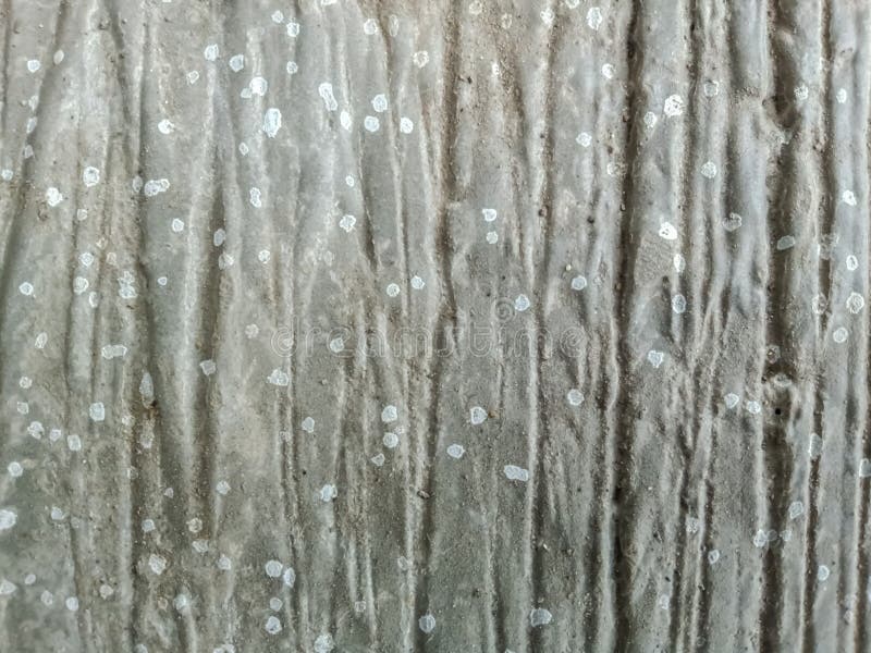 Textured Surface Resembling a Modern Concrete Wall with a Grooved ...