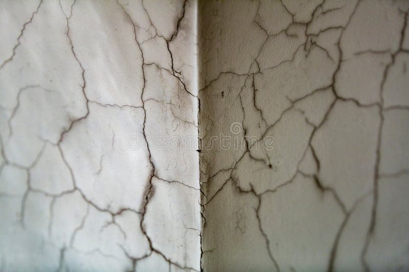 Old cracked plaster stock photo. Image of mold, crack - 107446272