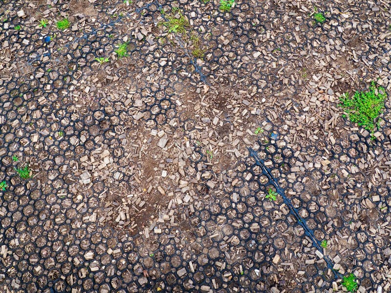 Textured Turf Eroded by People Walking Exposing the Plastic Grid Below ...