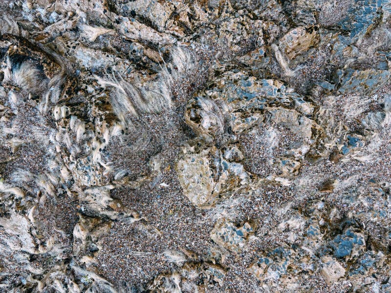 A Textured View of a Rock Embedded in Sand, Featuring Green Algae ...