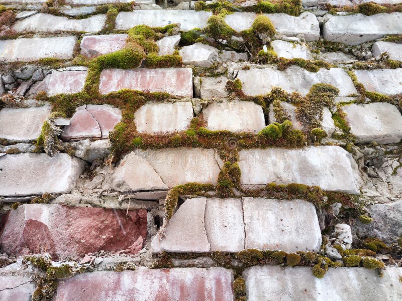 Textured Wall Featuring Weathered Bricks and Moss with Ample Space for ...